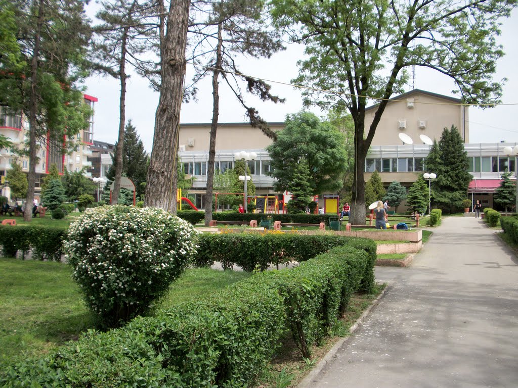 Burri nga Gjakova e goditi tetë herë me thikë ish-gruan në prezencë të ... Burri nga Gjakova e goditi tetë herë me thikë ish-gruan në prezencë të ...